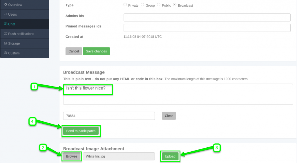 Broadcast messages sending